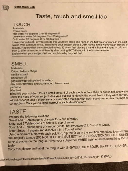 Solved Sensation Lab Taste, touch and smell lab TOUCH: | Chegg.com