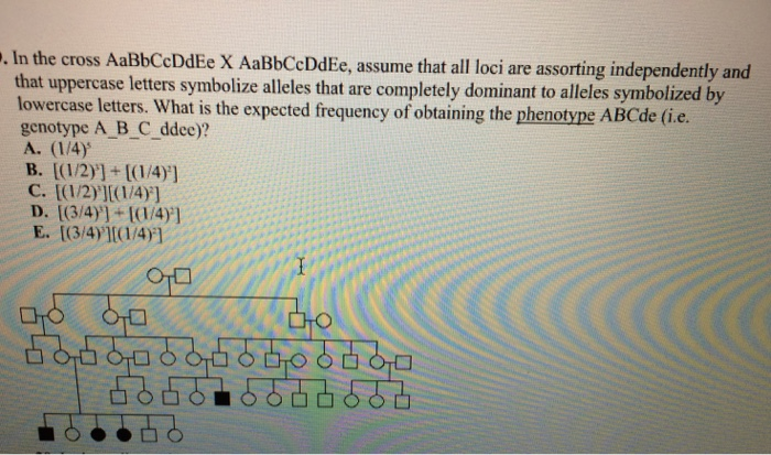 Solved In the cross AaBbCcDdEe X AaBbCcDdEe, assume that all | Chegg.com