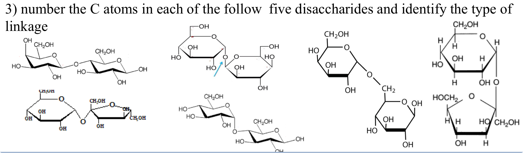 Solved number the C ﻿atoms in each of the follow five | Chegg.com