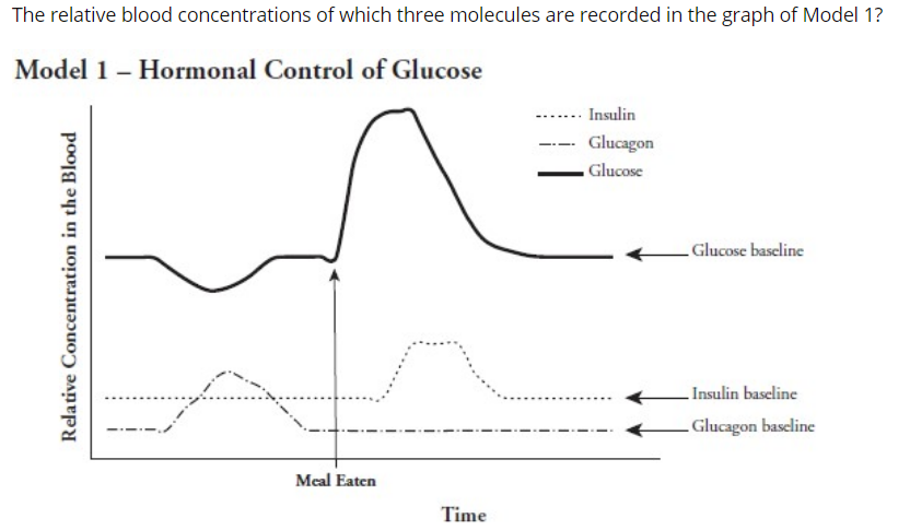 Solved The relative blood concentrations of which three | Chegg.com