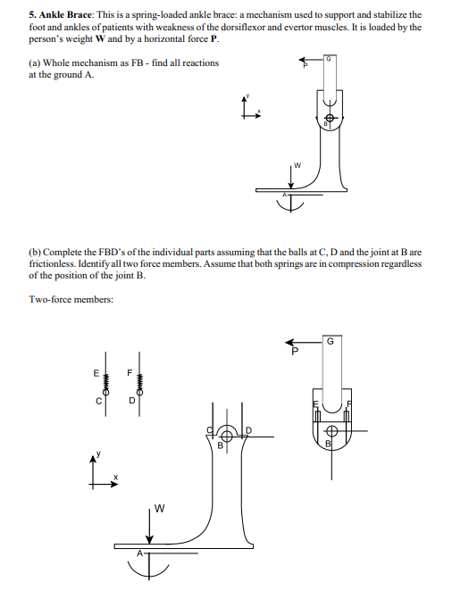 5. Ankle Brace: This is a spring-loaded ankle brace: | Chegg.com
