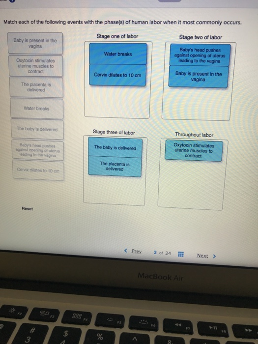 Solved Match each of the following events with the phase(s) | Chegg.com