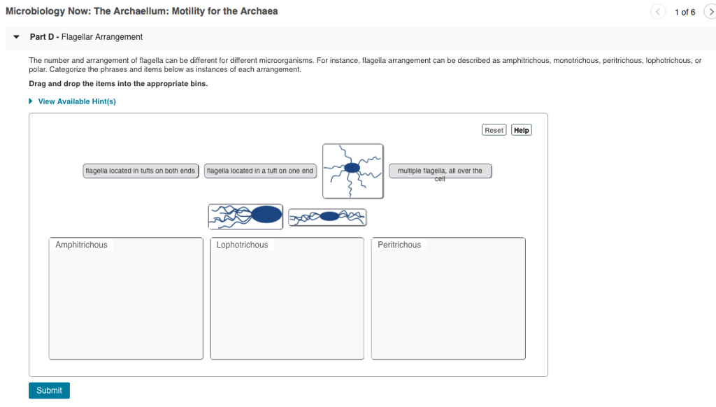 Solved Microbiology Now: The Archaellum: Motility for the | Chegg.com