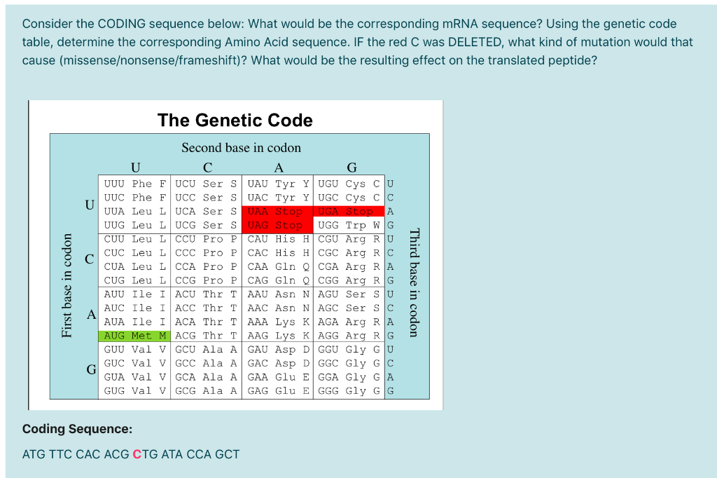 Solved Consider the CODING sequence below: What would be the | Chegg.com