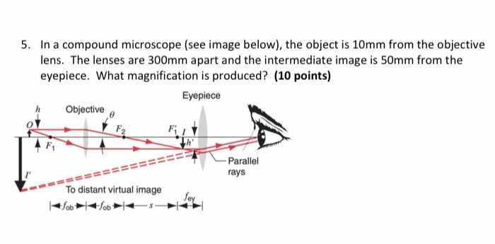 Solved 5. In a compound microscope (see image below), the | Chegg.com