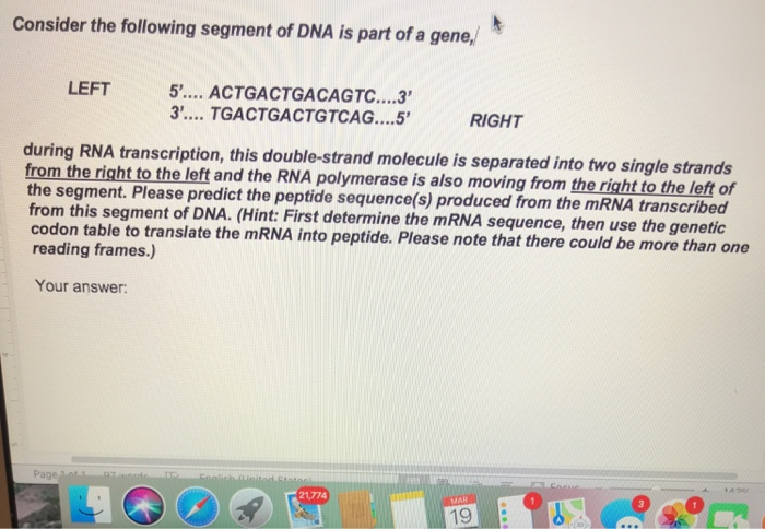Solved Consider the following segment of DNA is part of a | Chegg.com