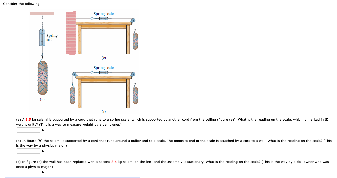 Solved Consider the following. Spring scale Spring scale (6) | Chegg.com