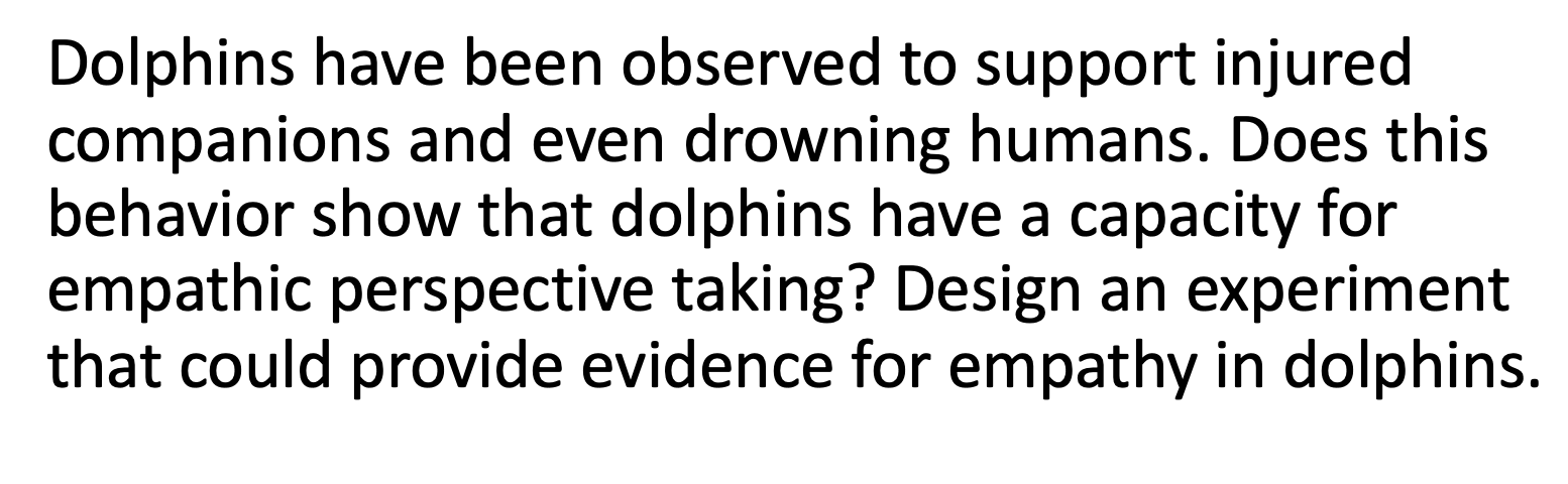 Solved Dolphins have been observed to support injured | Chegg.com
