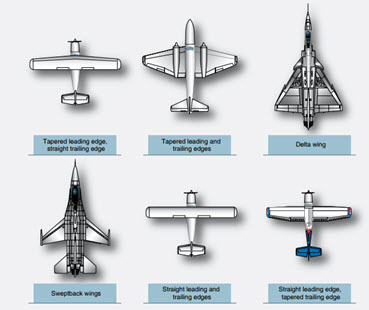 Wings use the principle of an 'I' beam for the wing. | Chegg.com