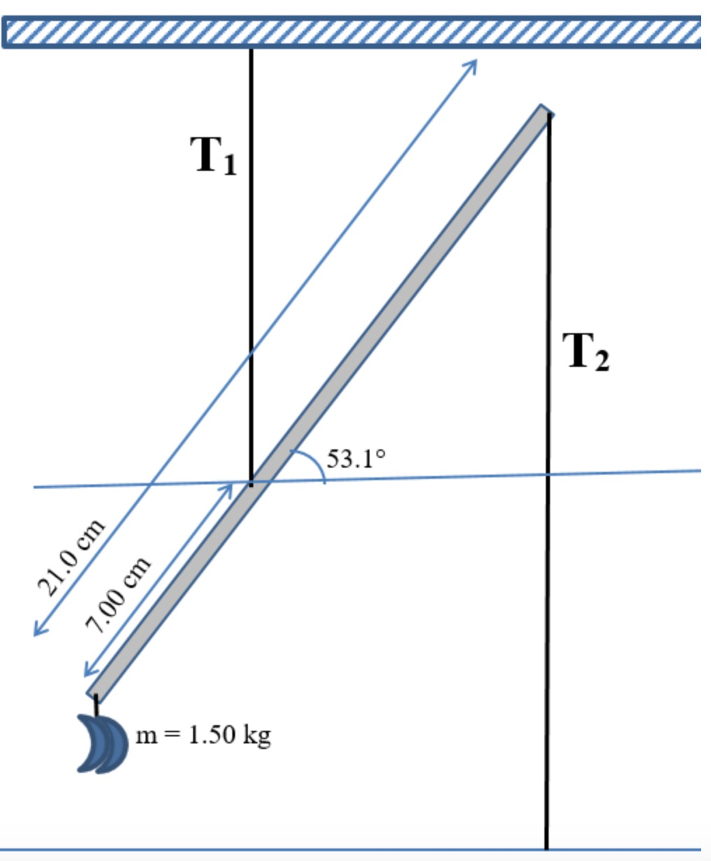Solved What is the extended free body diagram for the | Chegg.com