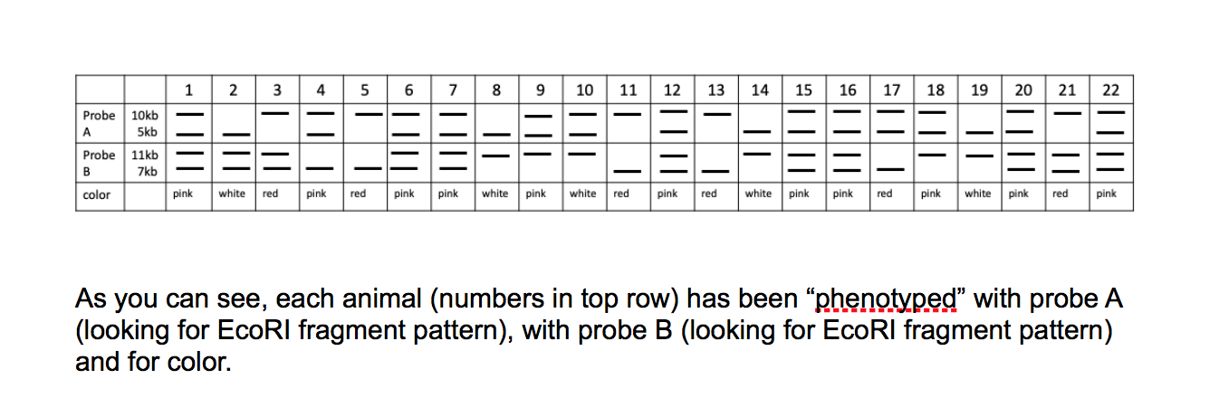 Solved In another set of mating experiments, a pink rabbit | Chegg.com