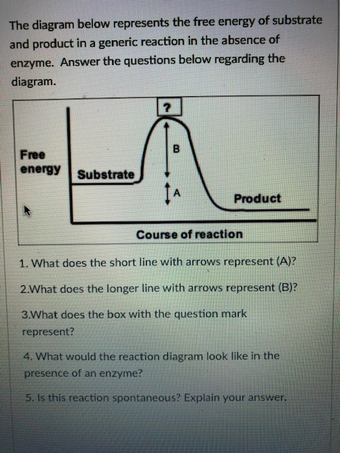 Solved The diagram below represents the free energy of | Chegg.com