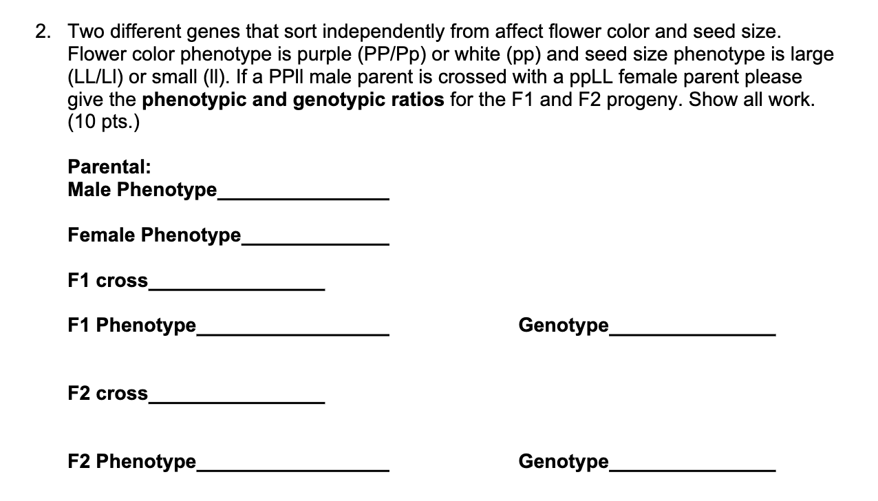 Solved Two different genes that sort independently from | Chegg.com