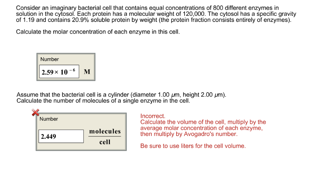 Solved Consider an imaginary bacterial cell that contains | Chegg.com