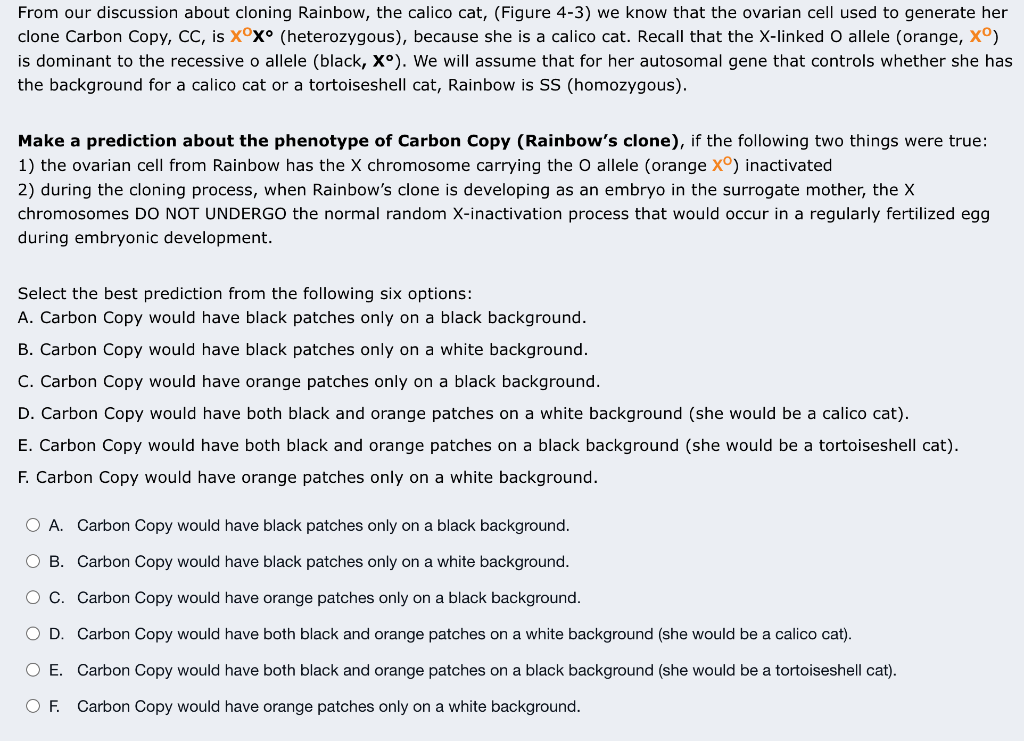 From our discussion about cloning Rainbow, the calico | Chegg.com
