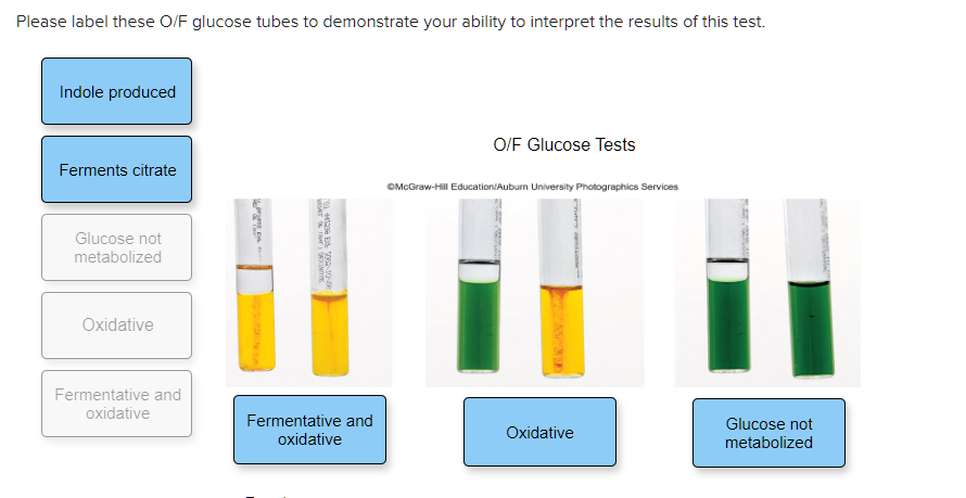 Solved Please answer all of the following questions. I will | Chegg.com