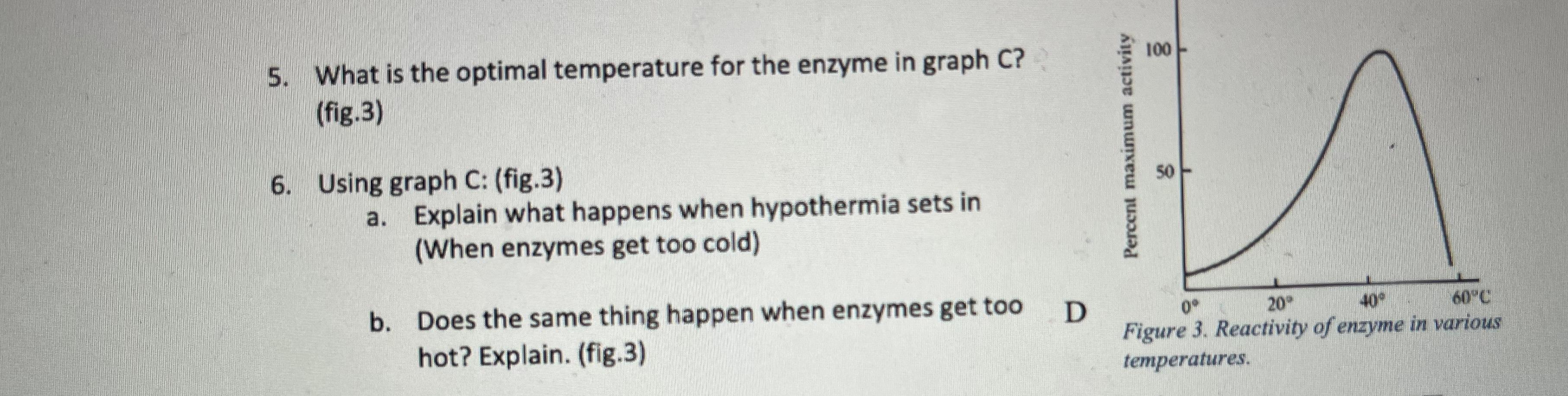 Solved 5. What is the optimal temperature for the enzyme in | Chegg.com