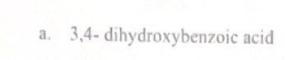 Solved 3,4- dihydroxybenzoic acid b. propoxy propane | Chegg.com