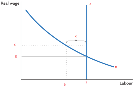 Solved Real wage G E B F D Labour This is a matching | Chegg.com