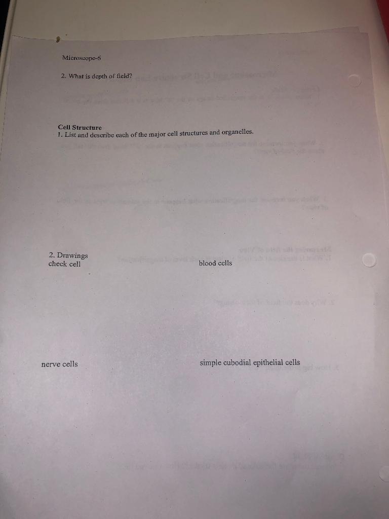 Solved Microscope-6 2. What is depth of field? Cell | Chegg.com