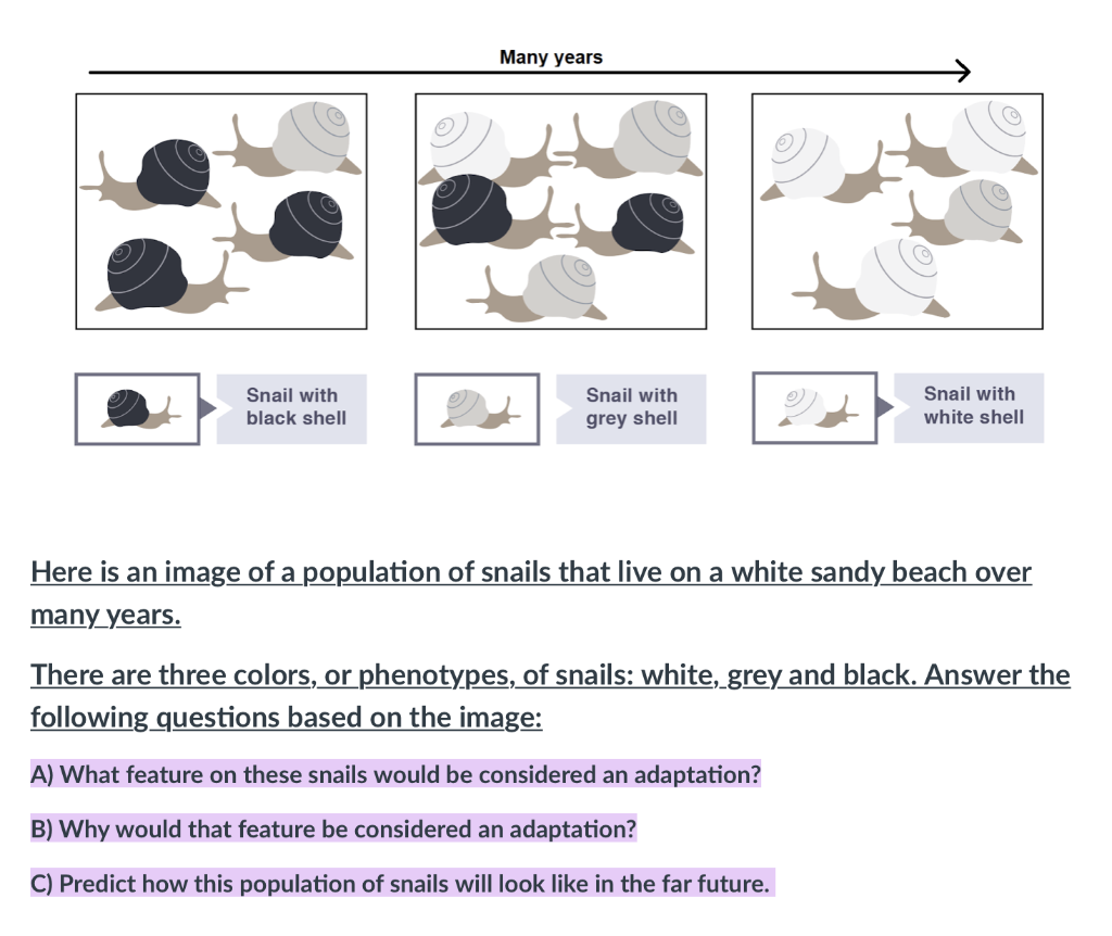 Solved Many years Snail with black shell Snail with grey | Chegg.com