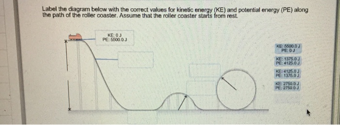 Solved Label the diagram below with the correct values for | Chegg.com