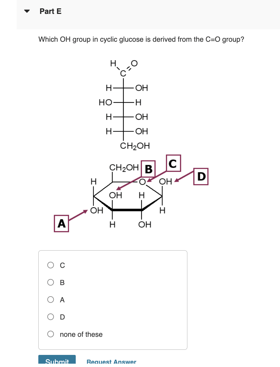 Solved Part E Which OH group in cyclic glucose is derived | Chegg.com