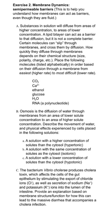 Solved Exercise 2. Membrane Dynamics: semipermeable barriers | Chegg.com