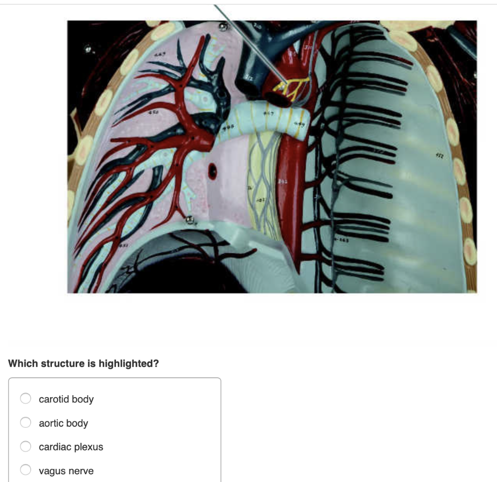 Solved Please help me with these three questions for the | Chegg.com