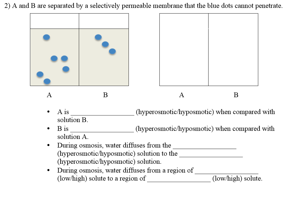 Solved 1) Fill in the blanks with hyposmotic, hyperosmotic, | Chegg.com
