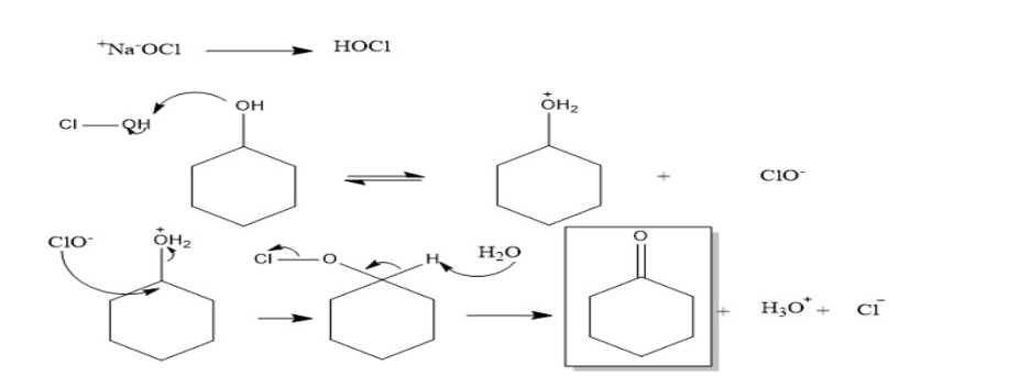 Solved Oxidation: Cyclohexanol to Cyclohexanone; | Chegg.com