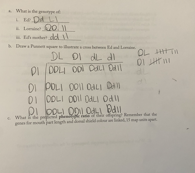 a. What is the genotype of: i. Ed? Dd LI ii. | Chegg.com