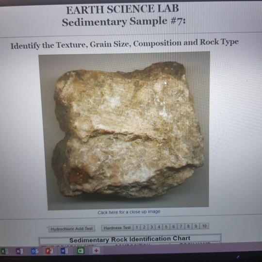 Solved EARTH SCIENCE LAB Sedimentary Sample #7: Identify the | Chegg.com