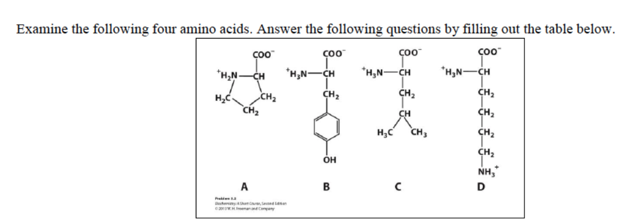 Solved Draw the fully protonated structure of each. What is | Chegg.com