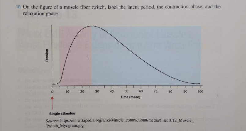 Solved 10. On the figure of a muscle fiber twitch, label the | Chegg.com