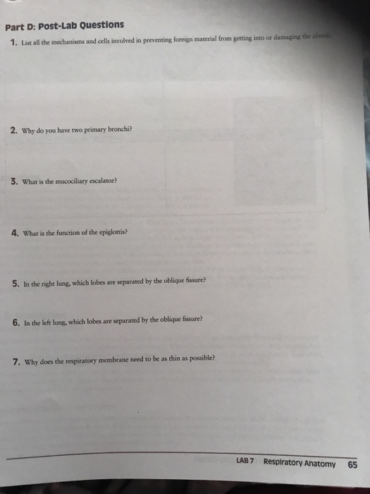Solved Part D: Post-Lab Questions 1. List all the mechanisms | Chegg.com