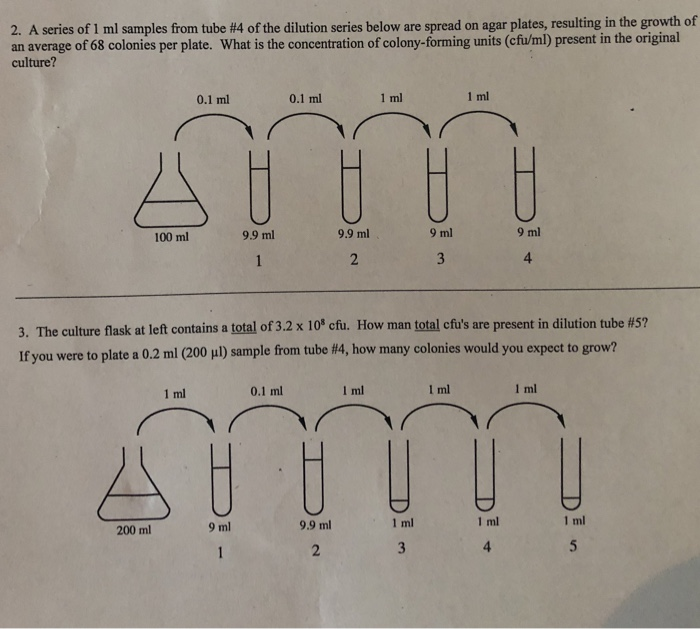 Solved 2. A series of 1 ml samples from tube #4 of the | Chegg.com