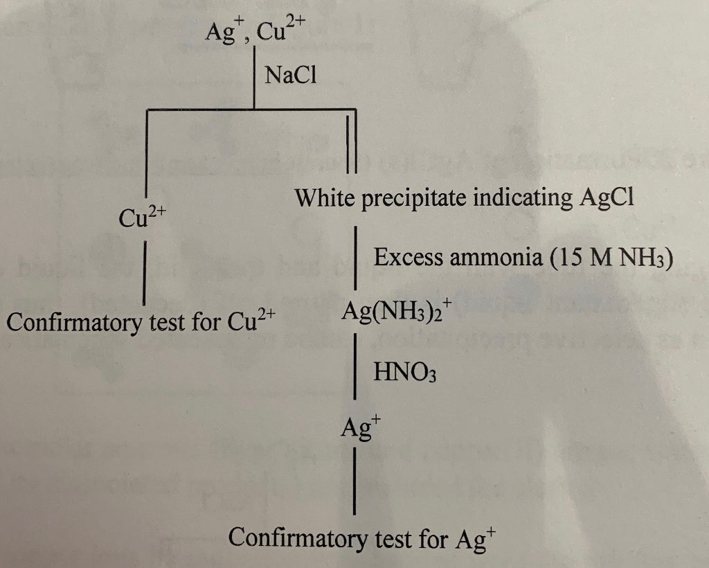 Solved 1. a. Review the separation schema presented on the | Chegg.com