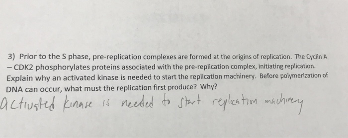 Solved 3) Prior to the S phase, pre-replication complexes | Chegg.com