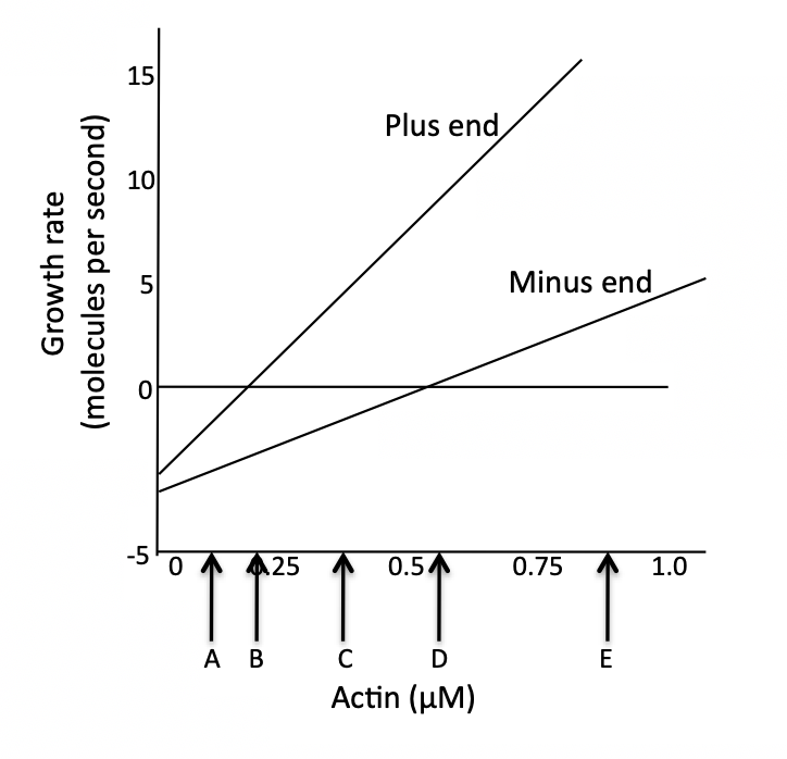 Solved The figure shows the filament growth rates at | Chegg.com