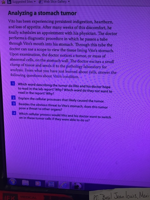Solved e Web Slice Gallery bSuggested Sites Analyzing a | Chegg.com