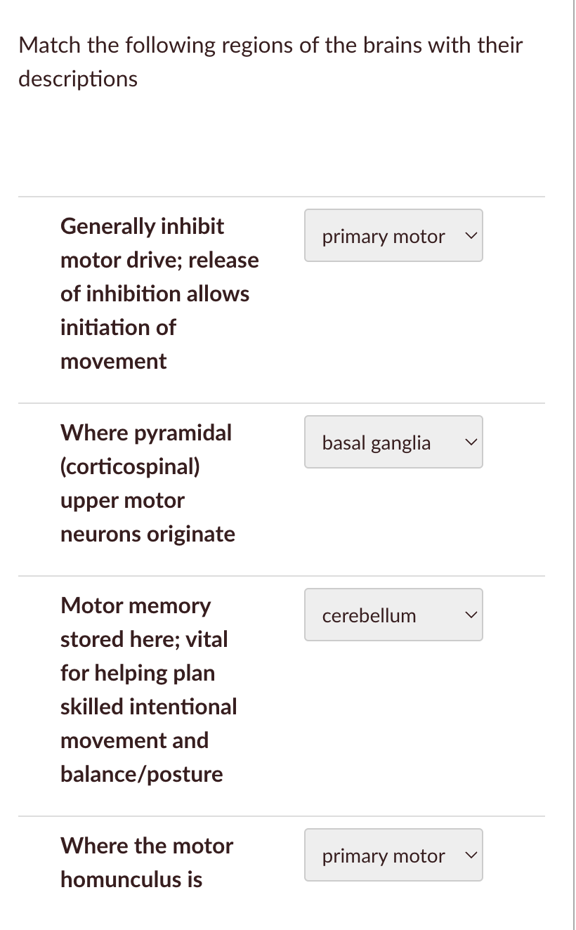Solved Match the following regions of the brains with their | Chegg.com