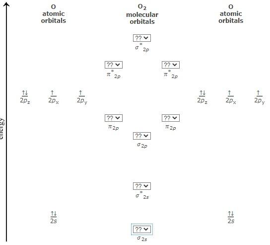 Solved Using molecular orbital theory, draw the molecular | Chegg.com