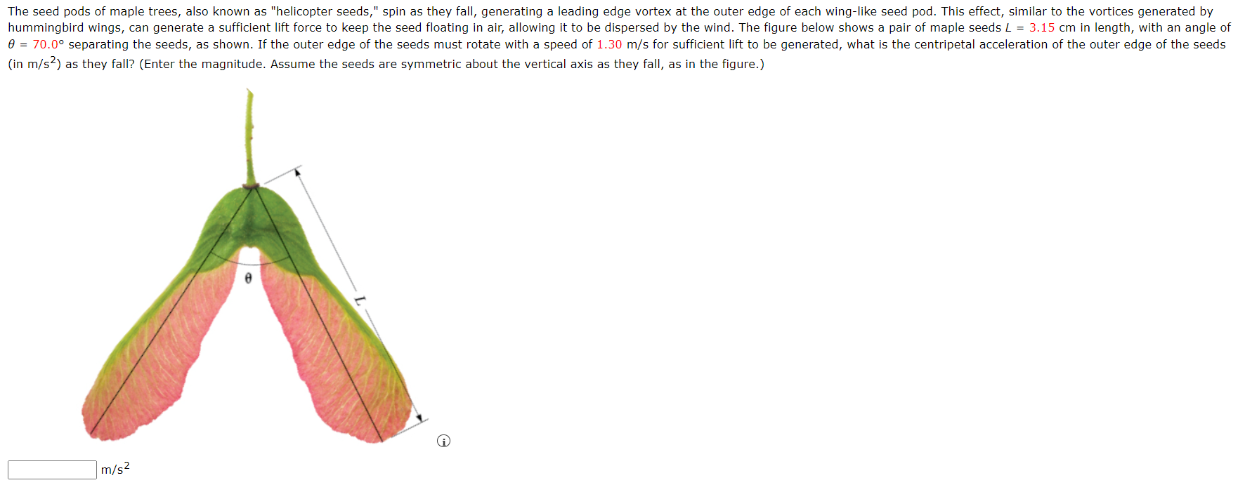 Solved The seed pods of maple trees, also known as | Chegg.com