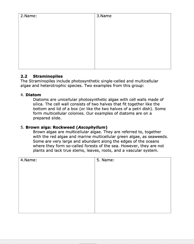 Solved 1. SUPERGROUP EXCAVATA These are single-celled | Chegg.com