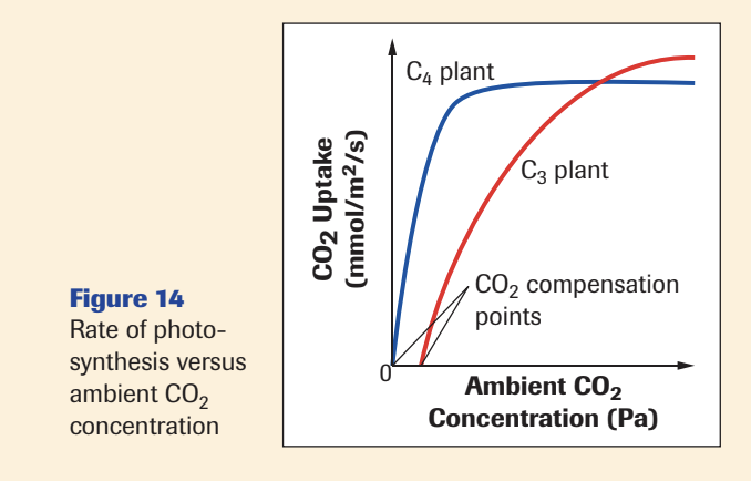 Solved 8. Figure 14 is a plot of the rate of photosynthesis | Chegg.com