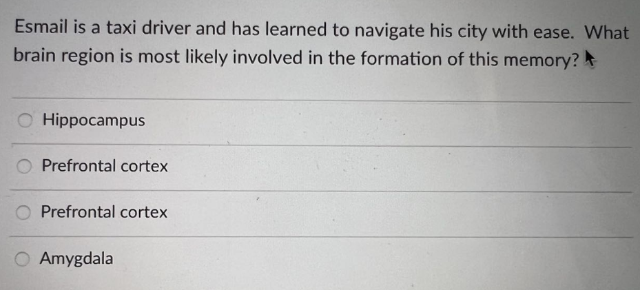 Solved Based on what you've learned about functional | Chegg.com