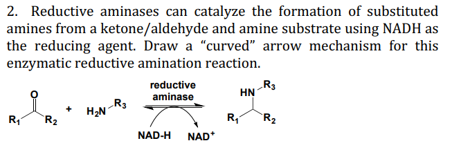 Solved 2. Reductive aminases can catalyze the formation of | Chegg.com