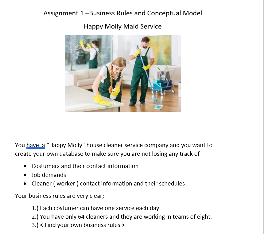 Assignment 1 -Business Rules and Conceptual Model | Chegg.com