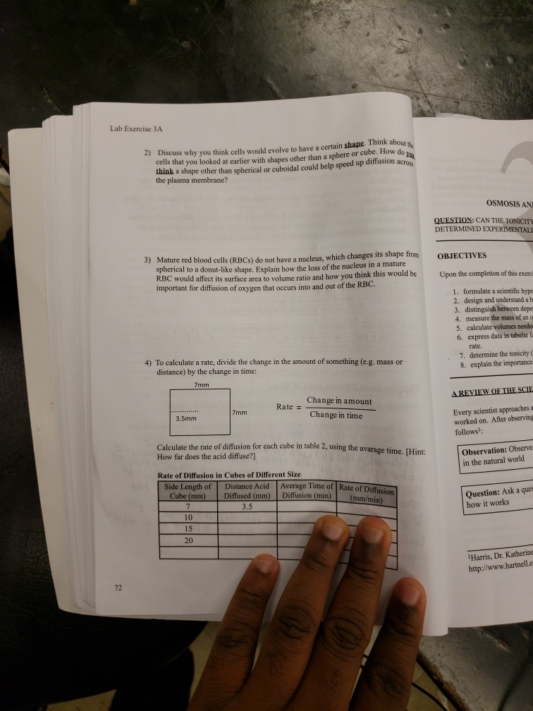 Solved Lab Exercise 3A Discuss why you think cells would | Chegg.com